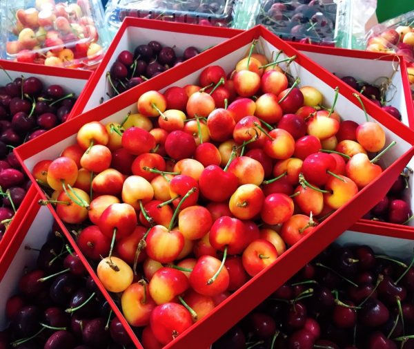 Có phải Cherry vàng ngon hơn Cherry đỏ